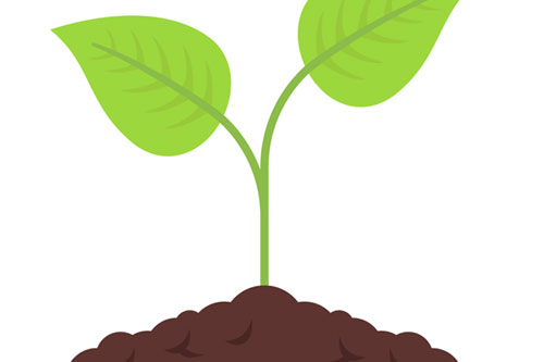 Tipos de sustrato para huertos urbanos - Tu Portal Eco